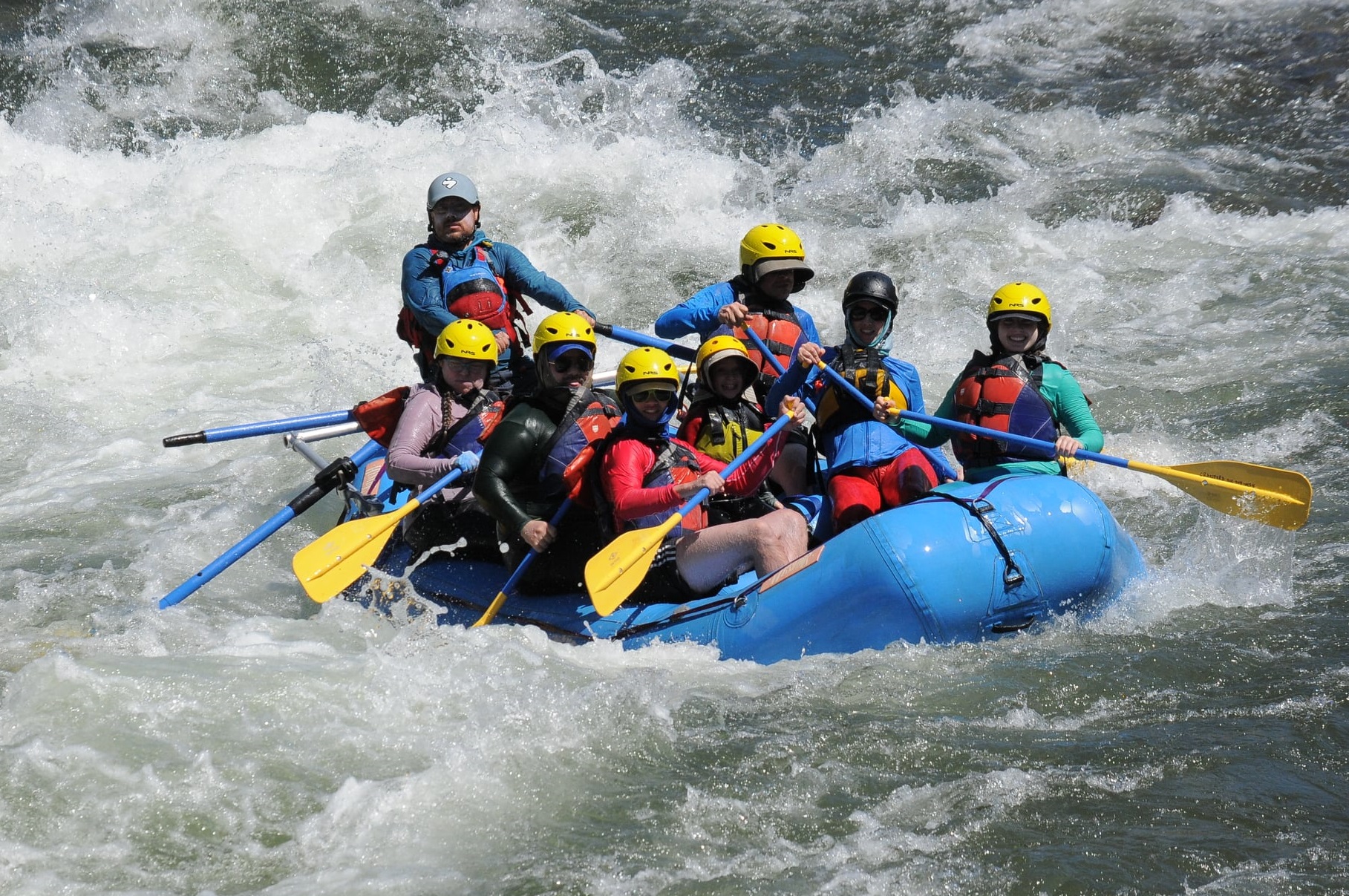 About – The Science of Zen